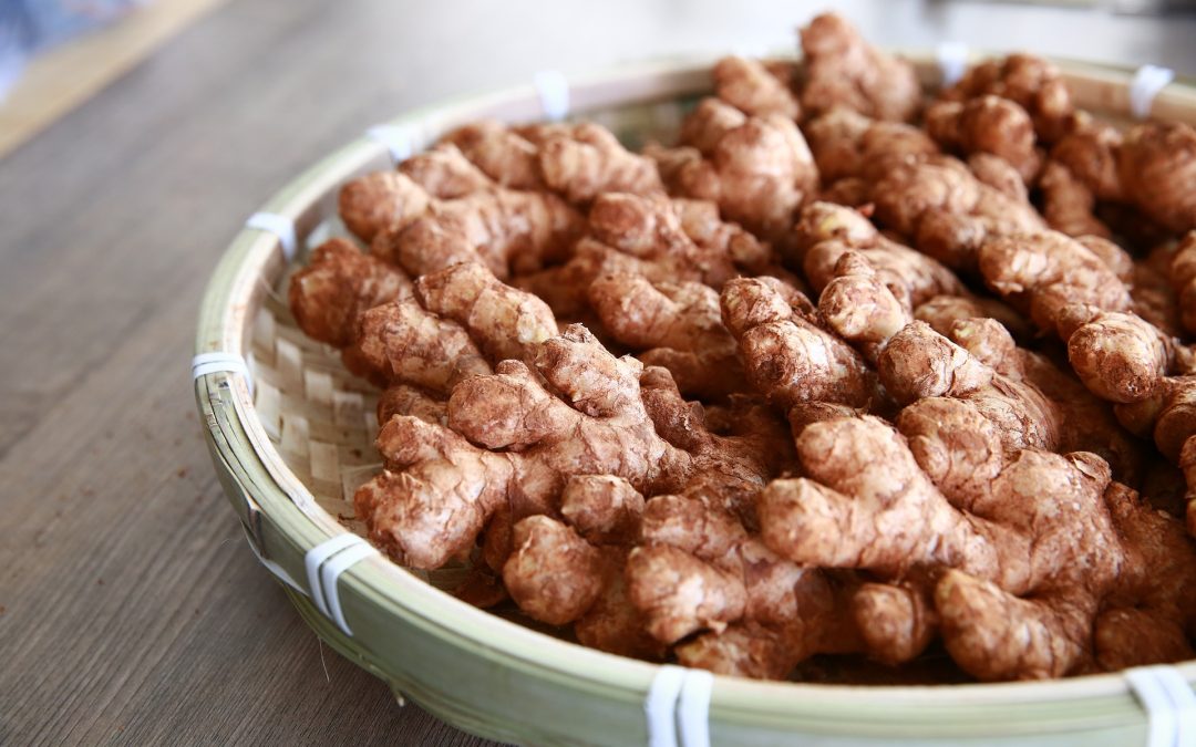 Fruity Lamb & Ginger Sausage - Sharp Attack